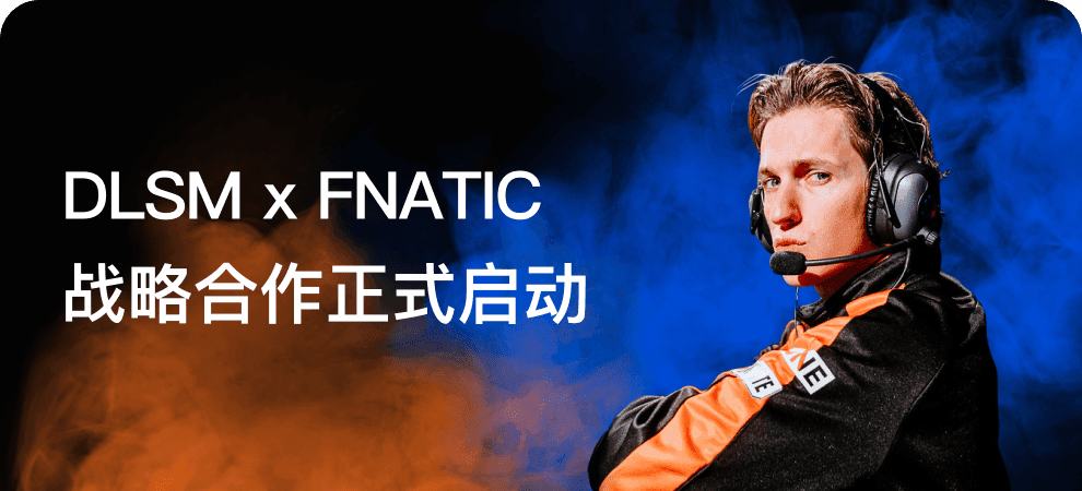 DLSM × Fnatic 2025